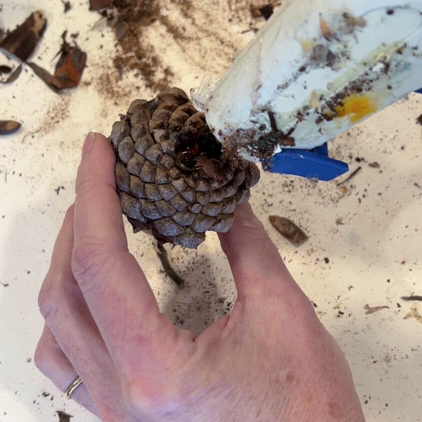DIY Pinecone Acorns - Maggie Overby Studios